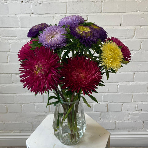 Products – British Flowers direct by Evolve Flowers