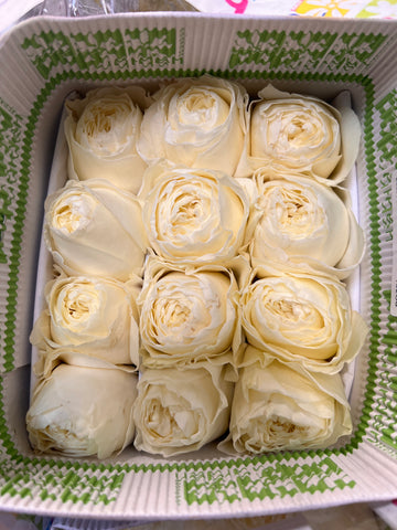 Roses – British Flowers direct by Evolve Flowers