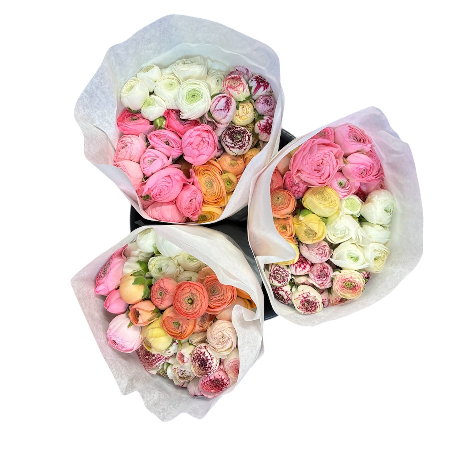 Ranunculus - Pastel Mix x 40 stems ** SPECIAL OFFER ** – British ...