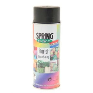 Paint - Soft Black Spray 400ml – British Flowers direct by Evolve Flowers