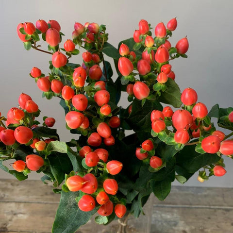 Import Flowers – British Flowers direct by Evolve Flowers