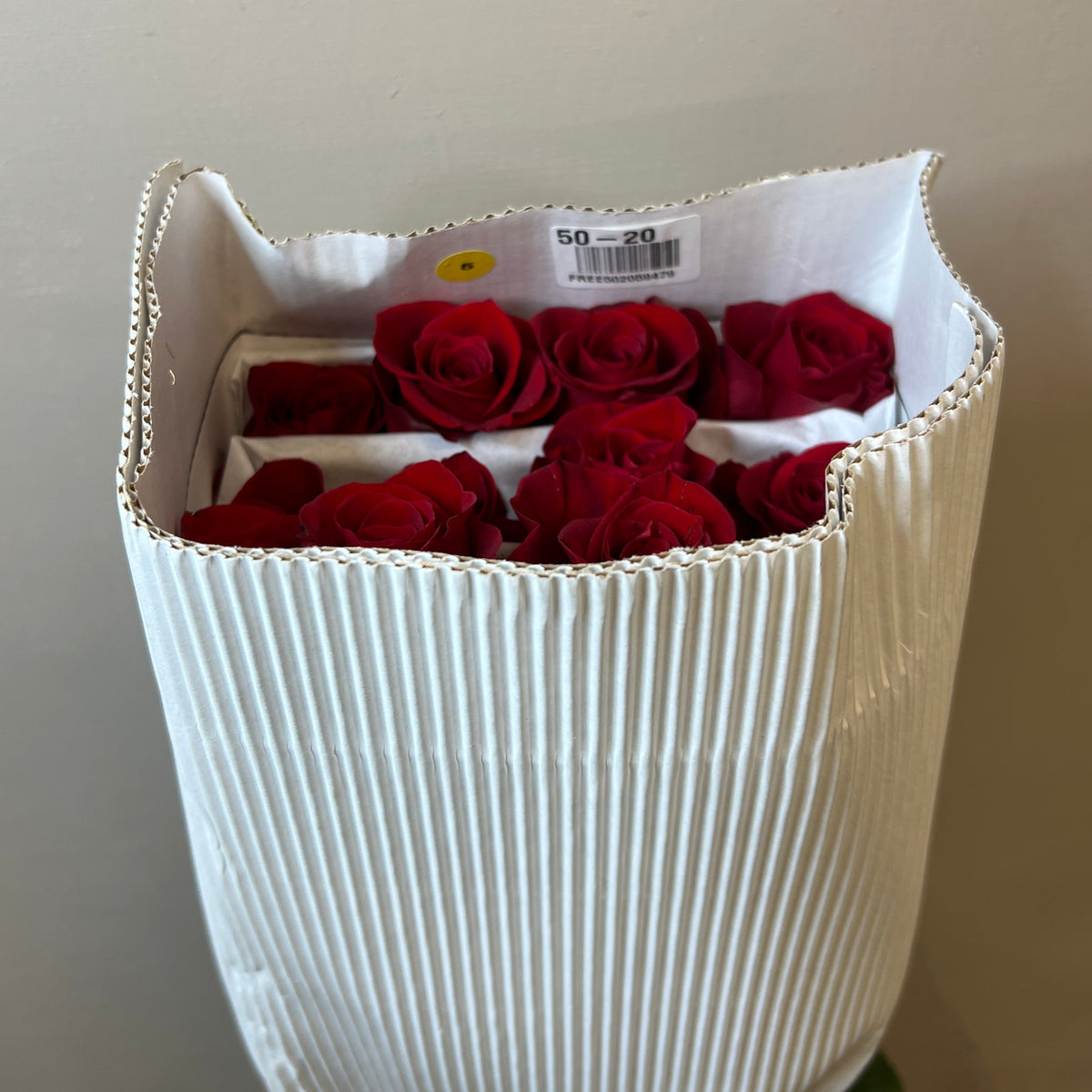 IMPORT ROSE - Large Headed Freedom 50cm 25 stems – British Flowers ...