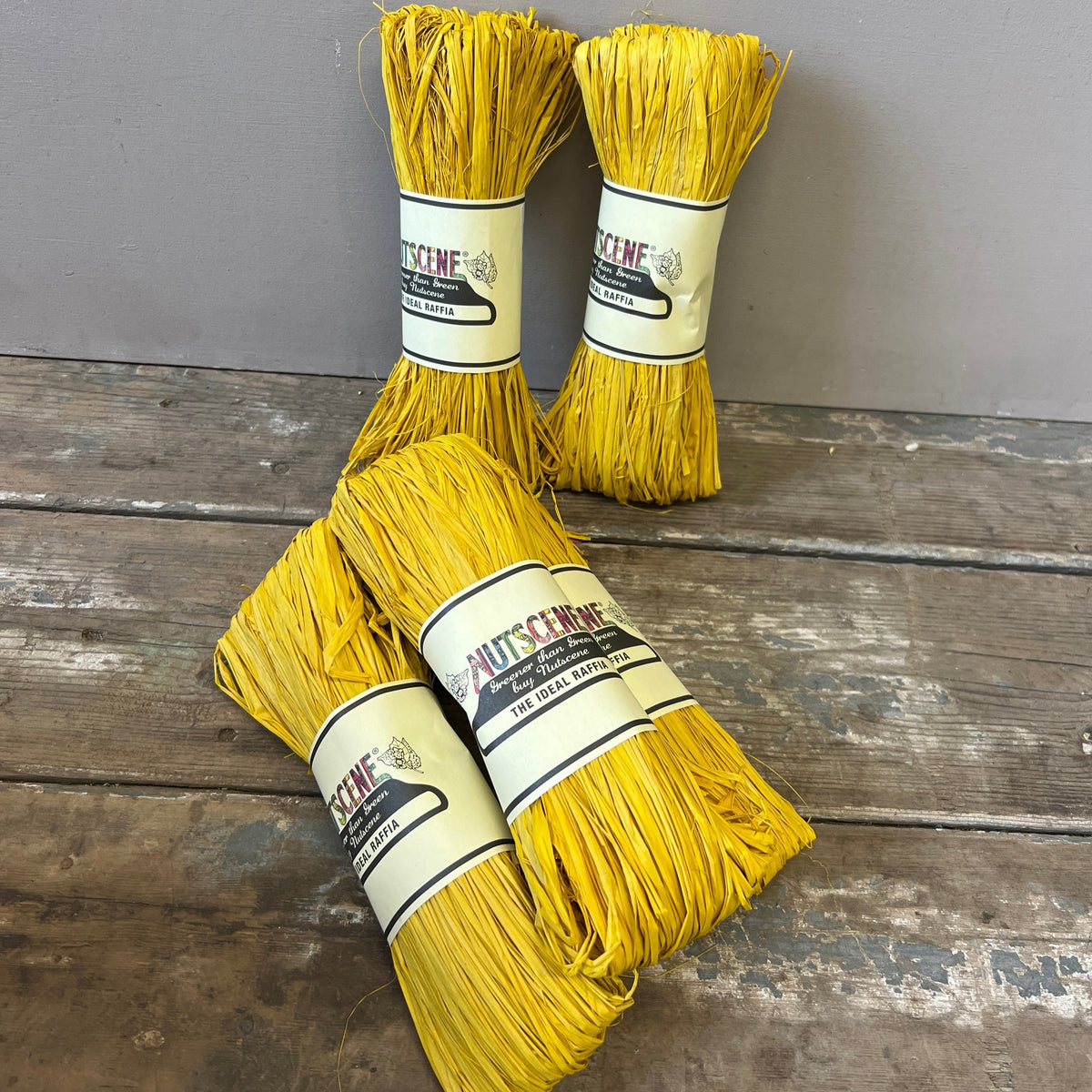 Nutscene Raffia Hanks - Rainbow Fun! – British Flowers direct by Evolve ...