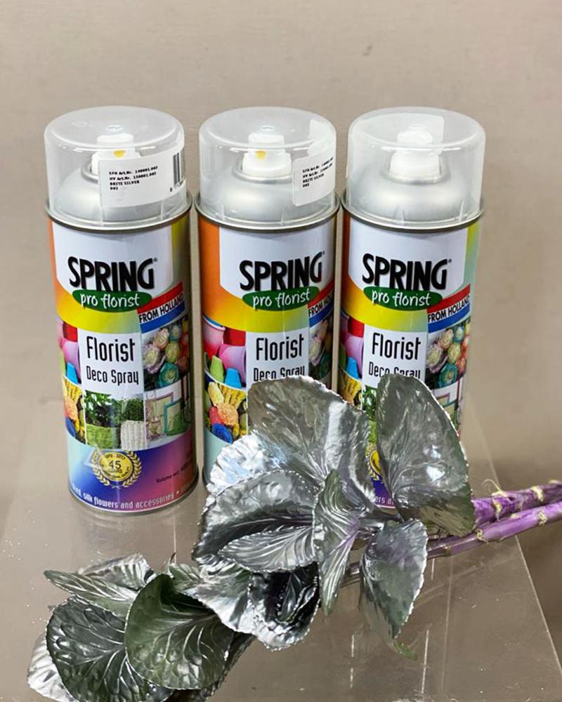 Paint - Bright Silver Spray 400ml – British Flowers direct by Evolve ...